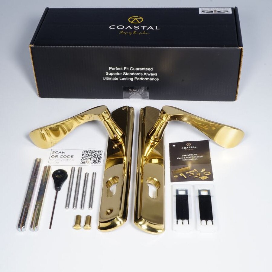 Regent Lever Handle on 092 Backplate, Left Hand, PVD Polished Brass ...