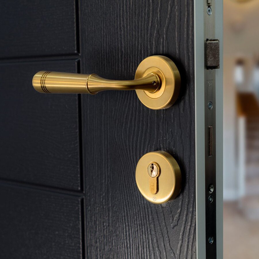 Opera Lever Door Handle on Round Rose TBH100B 316 Stainless Steel PVD ...